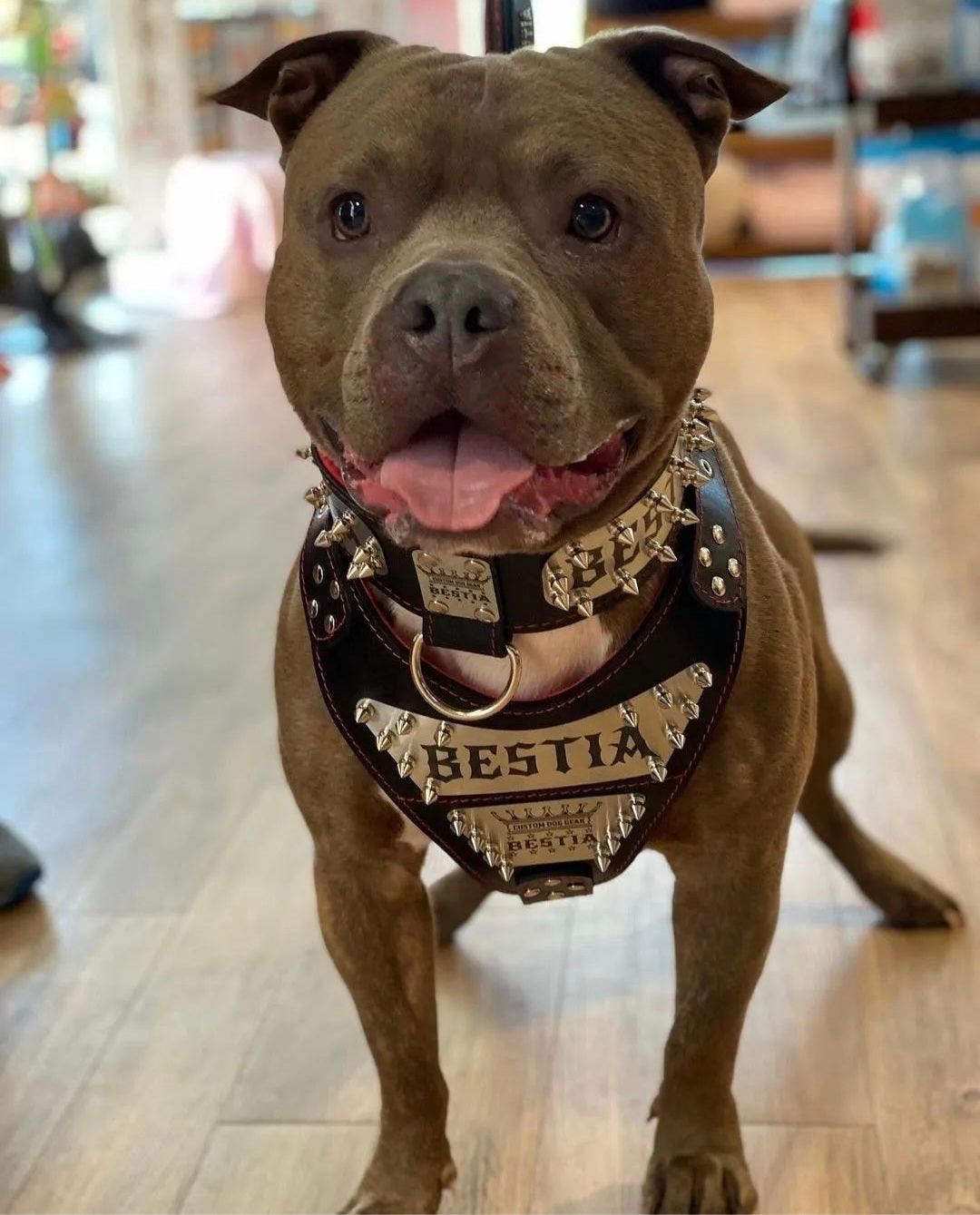 Personalized Products – Bestia Dog Gear
