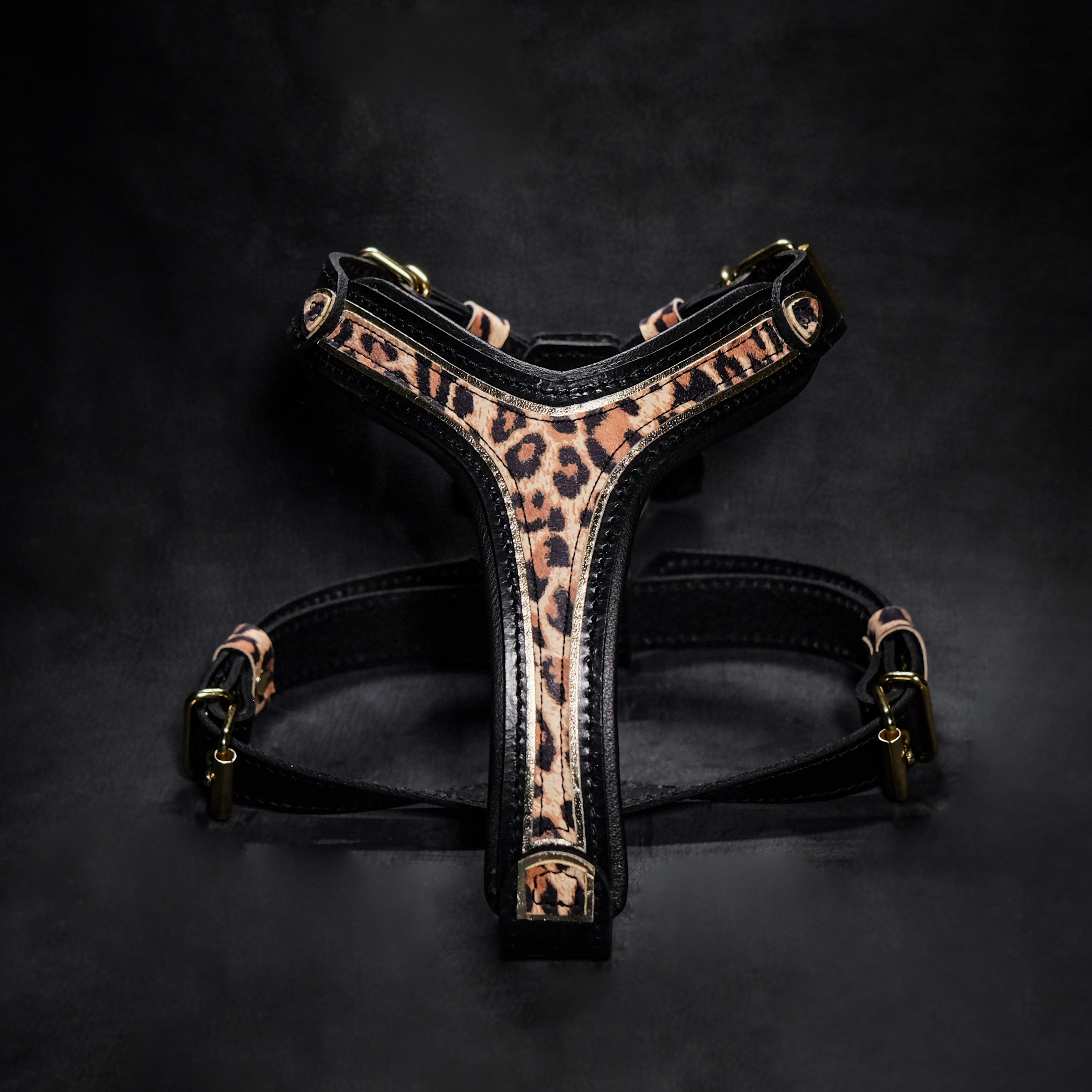 The Leopard Harness Small to Medium Size – Bestia Dog Gear