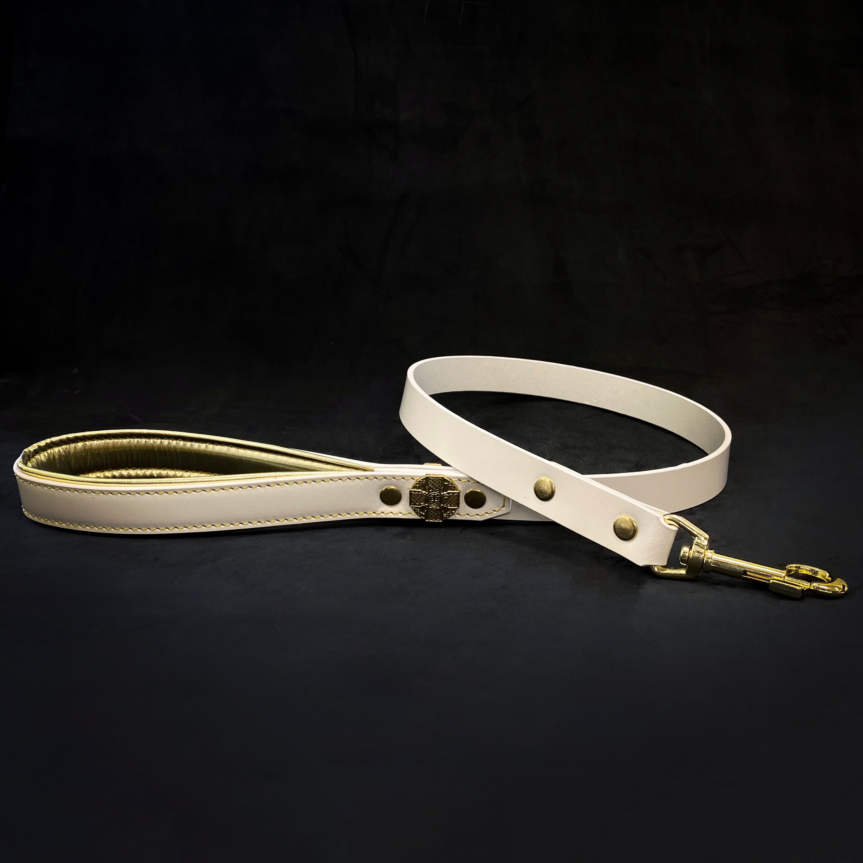Maximus Gold Leash 1 inch wide – Bestia Dog Gear