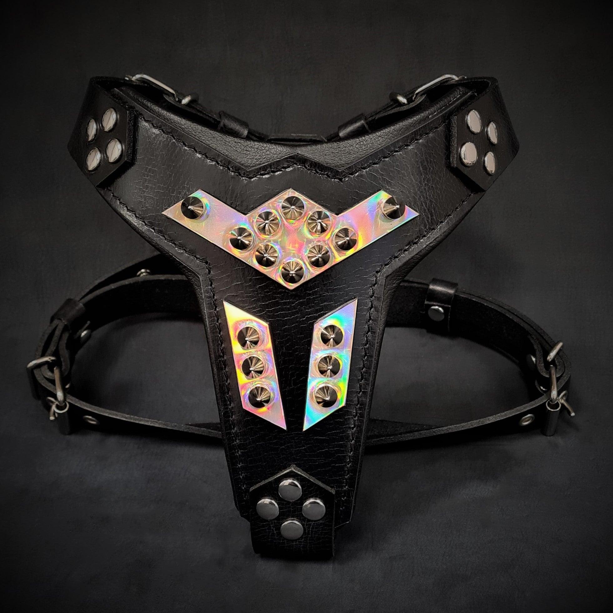 ''Midas'' leather dog harness silver medium size – Bestia Dog Gear