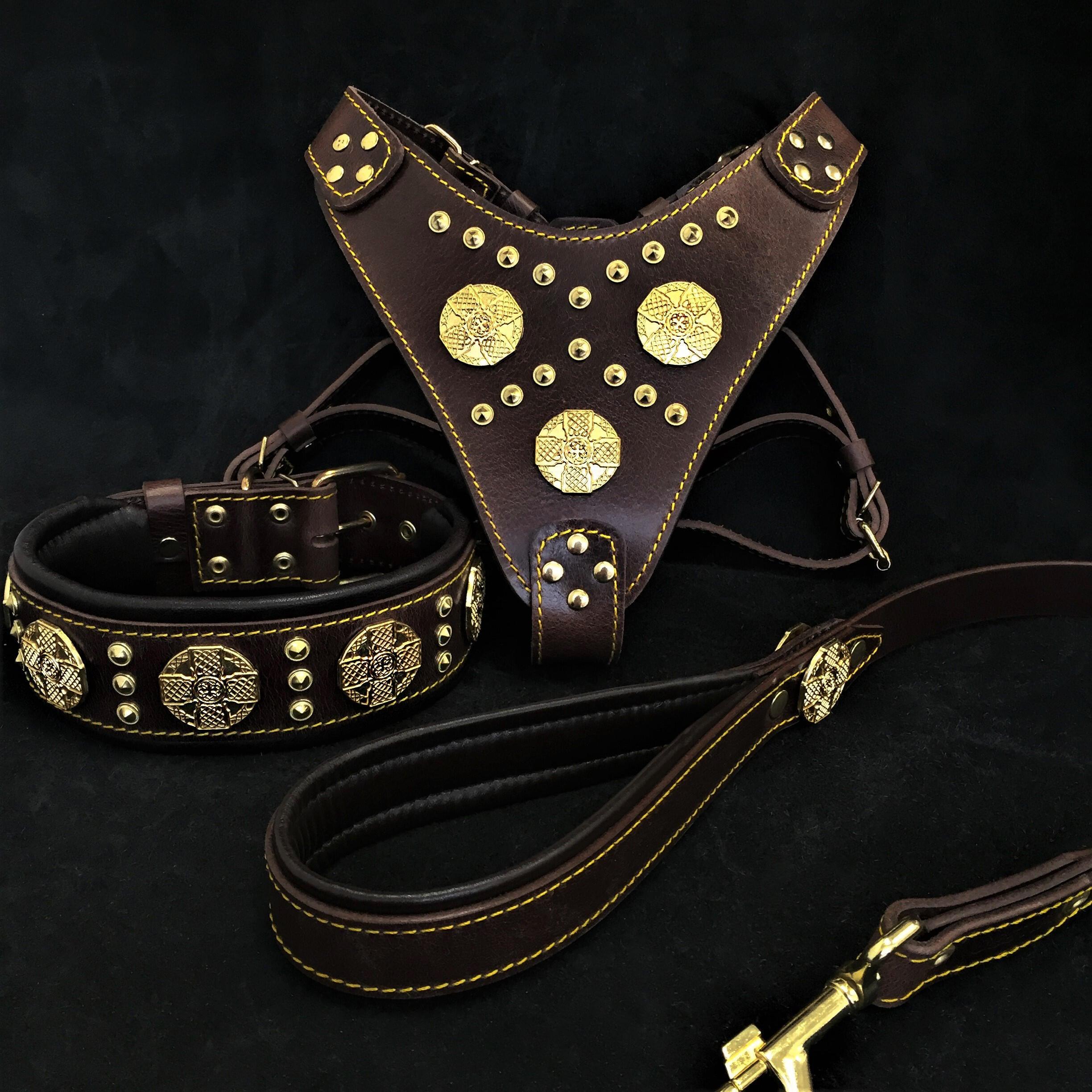 The Maxmius Set- collar, harness and leash – Bestia Dog Gear