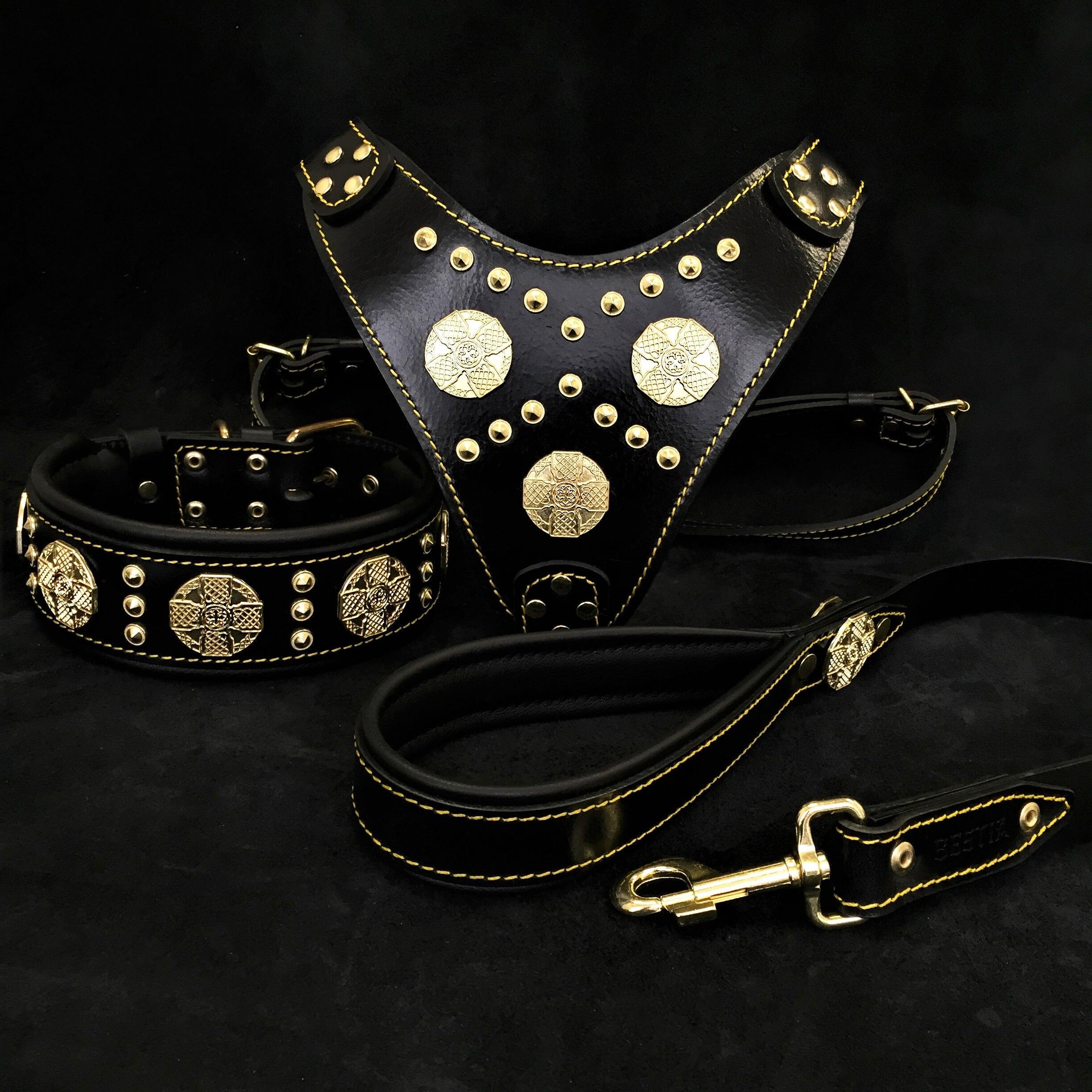 The Maxmius Set- collar, harness and leash – Bestia Dog Gear